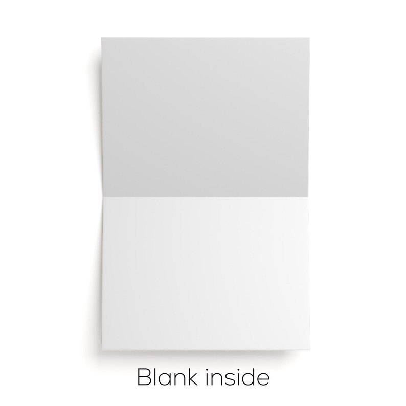 American Bison Blank Notecards • 5x7 Blank Cards With Wildlife ...