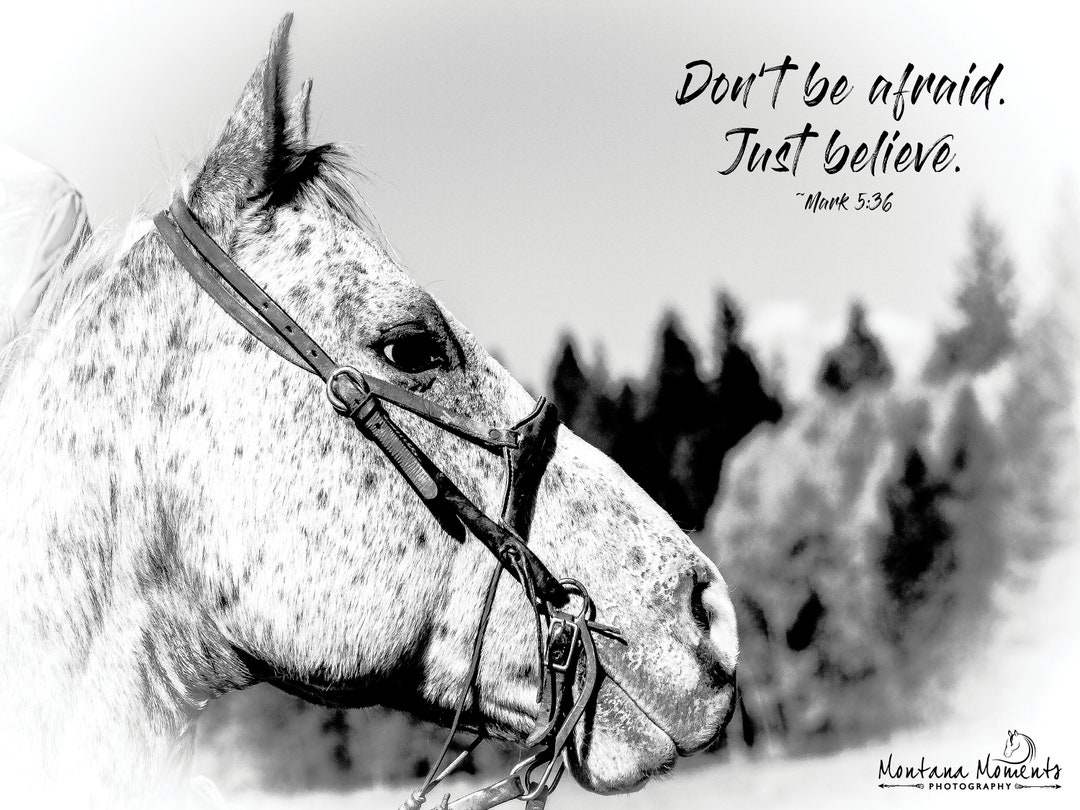 Inspirational Horse Wall Art Prints, Horse Wall Art, Scripture, Black ...