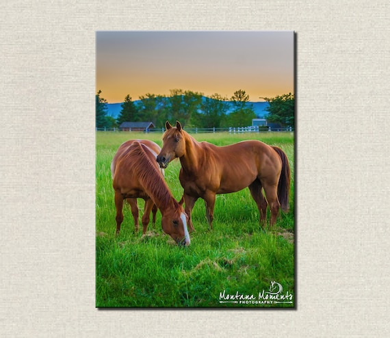 Country Sunset Horse