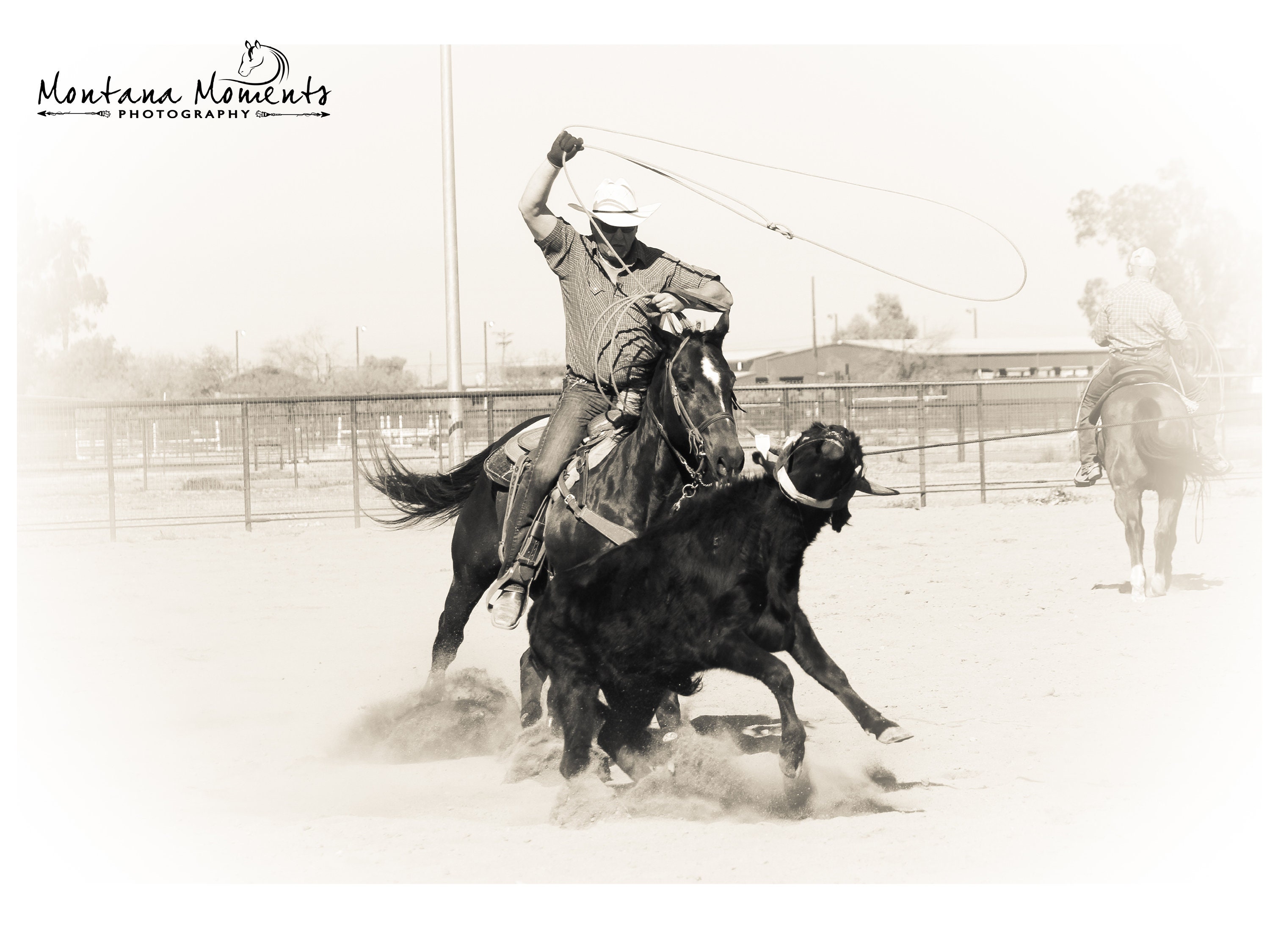 Rodeo Team Roping Photos, Rodeo Photos, Cowboy Wall Art Photos, Calf ...