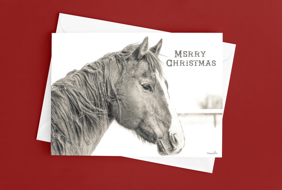 Christmas Horse Greeting Card Sets • Merry Christmas Cards • Horse ...