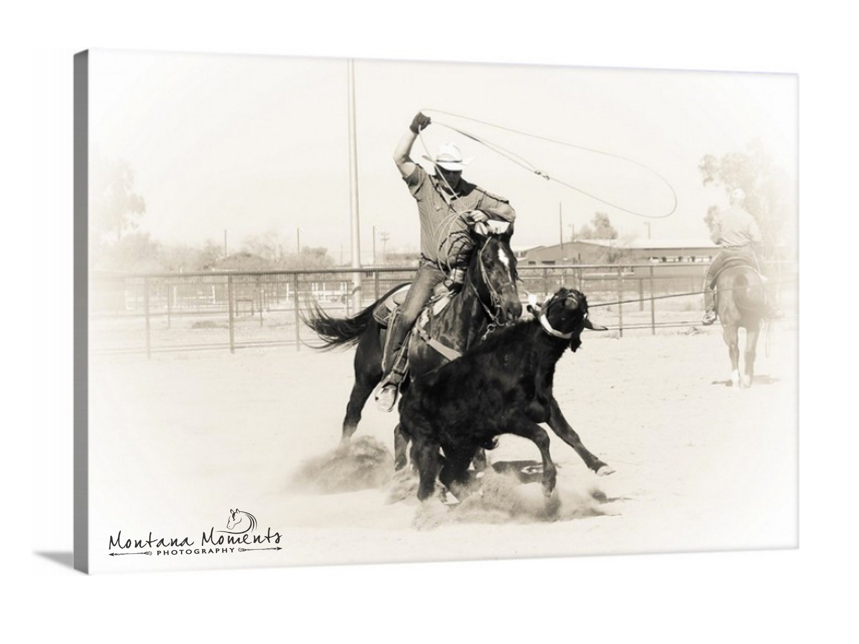 Rodeo Team Roping Photos, Rodeo Photos, Cowboy Wall Art Photos, Calf ...