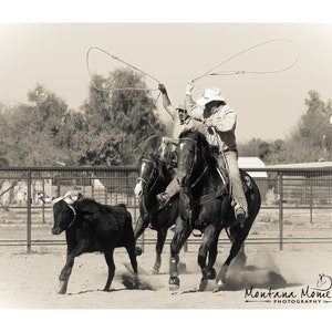 Team Roping Rodeo, Calf Roping, Cowboy Rodeo Photos, Horse Wall Art ...