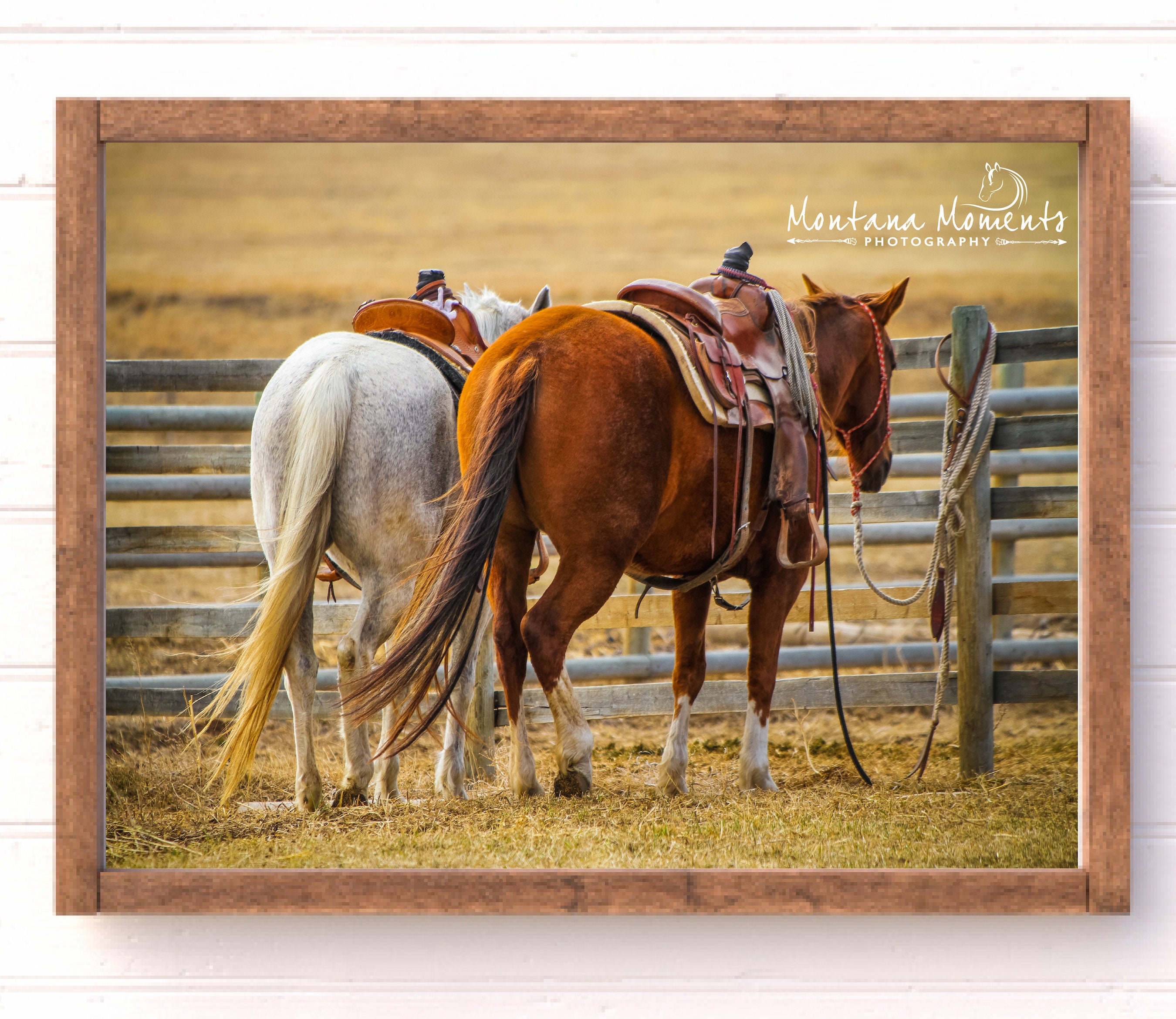 Ranch Horse Photos, Horse Photos, Rustic Ranch Decor, Cabin Wall Art ...