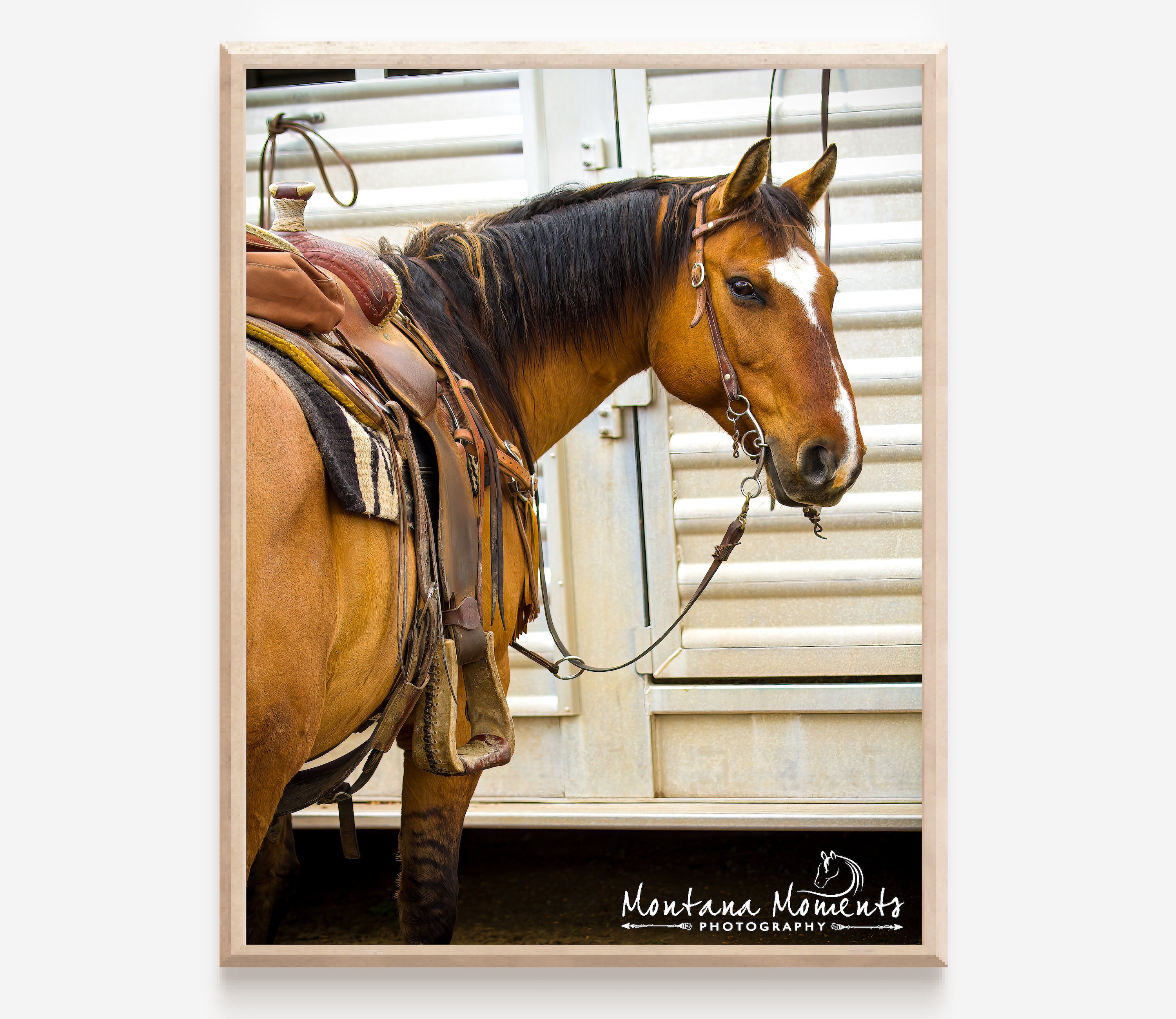 Ranch Horse Photography