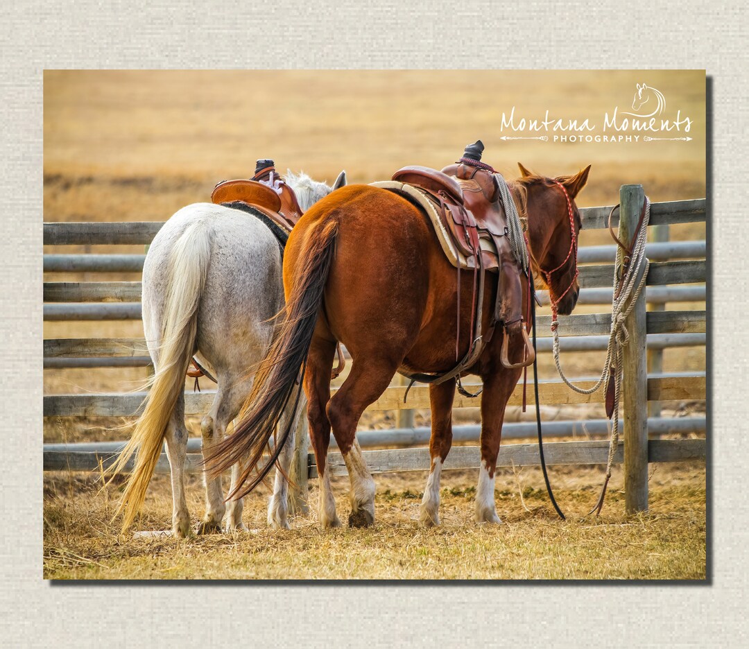 Ranch Horse Photos • Horse Photos • Rustic Ranch Decor • Cabin Wall Art ...