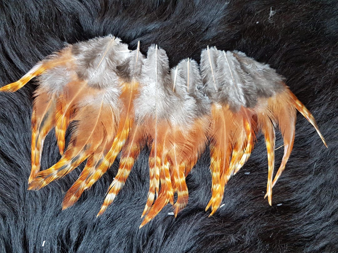 20 Feathers, 10-14 Cm, Naked Neck Rooster, Decorative Feathers, Chicken ...