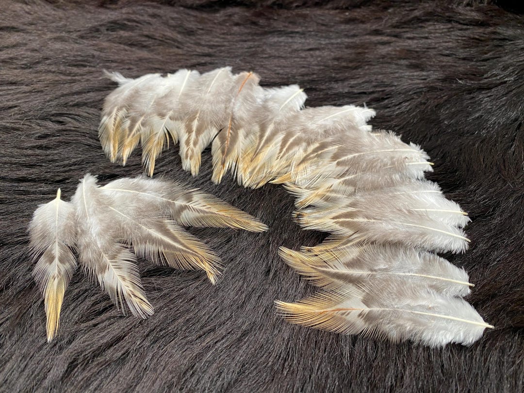 28 Feathers, 5-7 Cm, Narrow Natural Feathers, Black and White ...