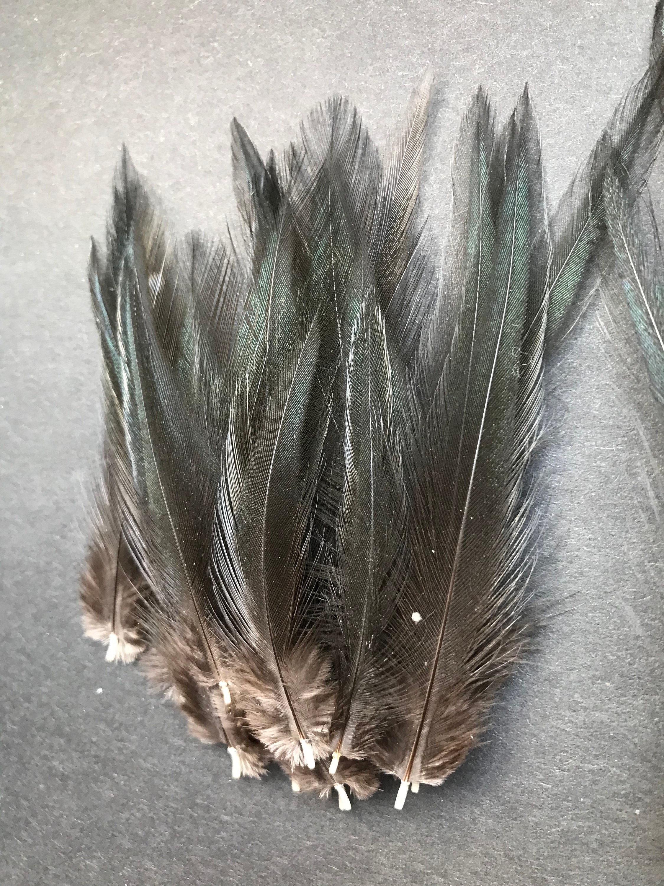 Plumas artesanales plumas naturales plumas decorativas | Etsy