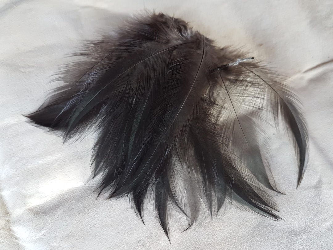 25 Feathers, 9-12 Cm, Black Feathers, Mystical Feathers, Shrine ...