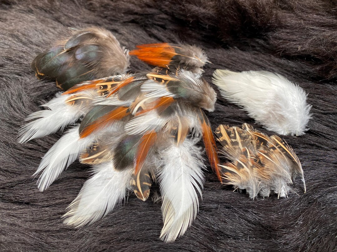 60 Feather Mix, 2-6 Cm, 4 Varieties, Craft Feathers From Good Husbandry ...