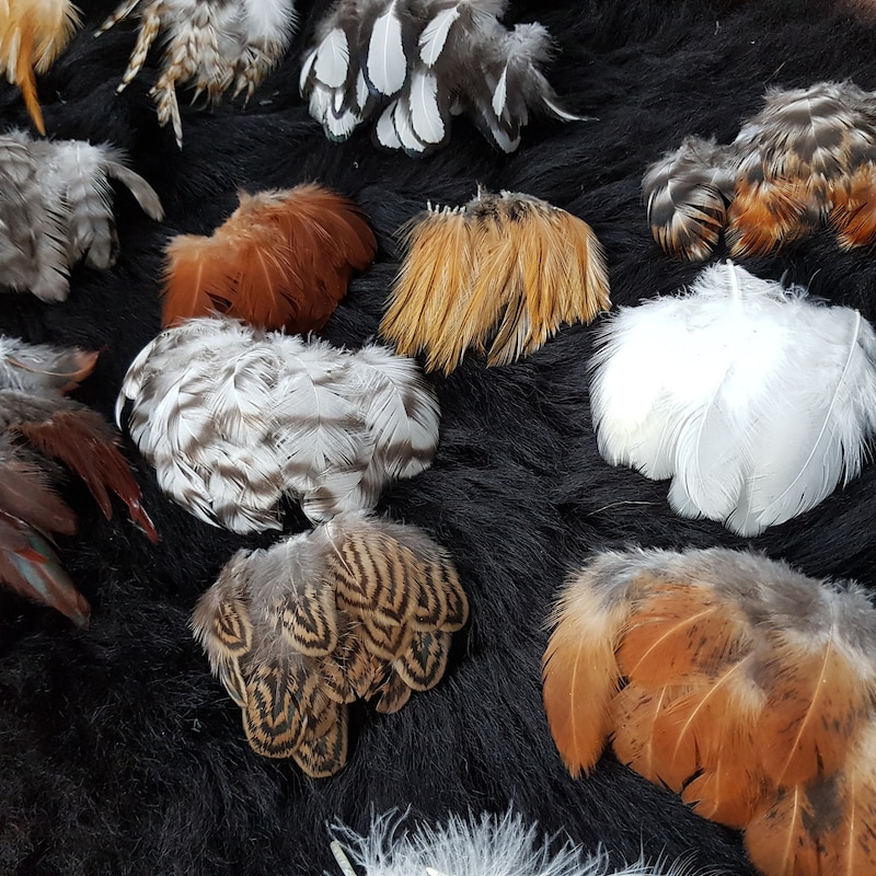 Craft Feathers - Etsy