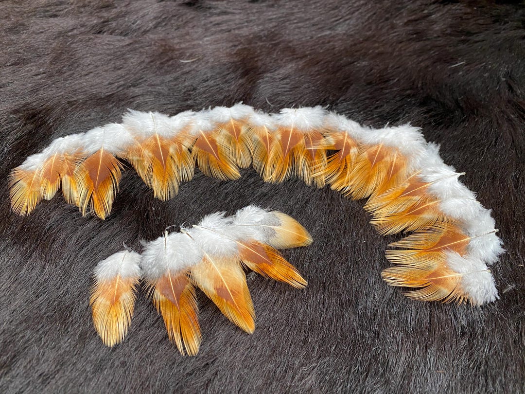 25 Feathers, 3-5 Cm, Colorful Rooster Feathers, Colorful Natural ...