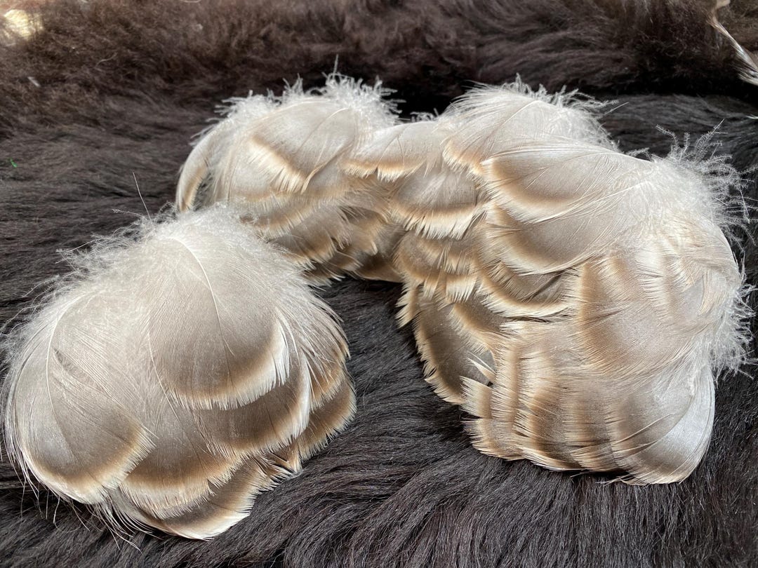 25 Feathers, 6-10 Cm, Grey Goose Feathers, Fringed Craft Feathers ...