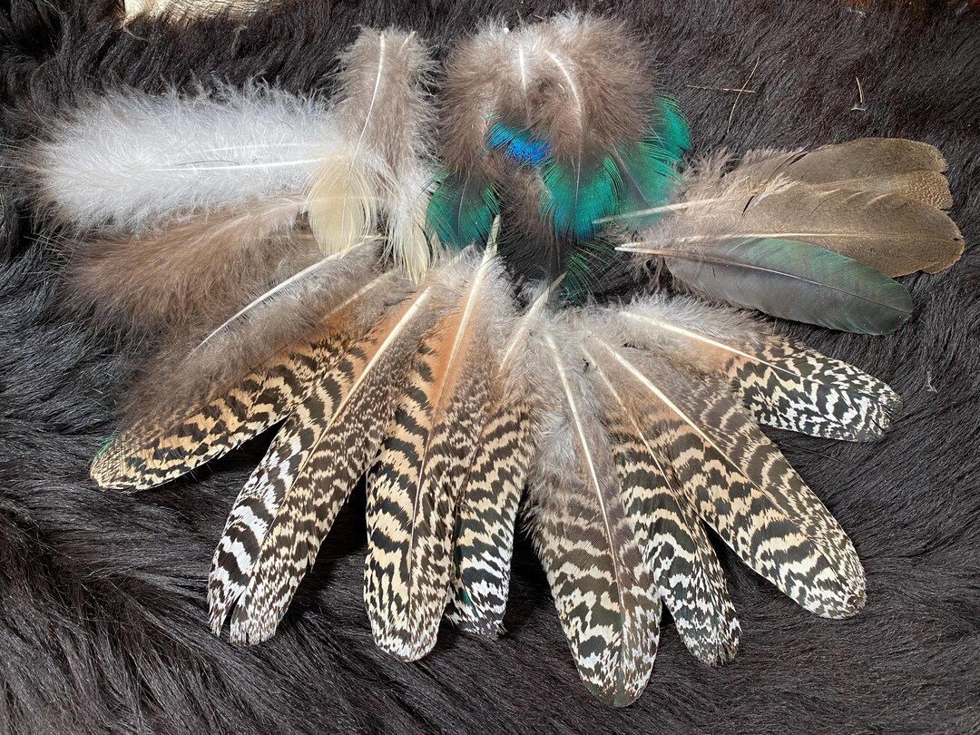 Feather Mix Deluxe, 7-22 Cm, Species-appropriate Care, Craft Feather ...