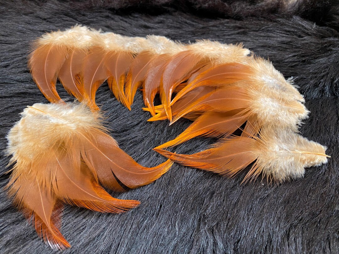 15 Feathers, 12-15 Cm, Orange-brown Rooster Tail Feathers From Species-appropriate Husbandry ...