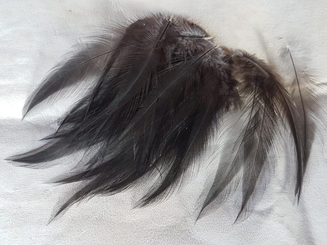 28 Feathers, 6-9 Cm, Black Chicken Feathers, Jet Black Natural Feathers ...