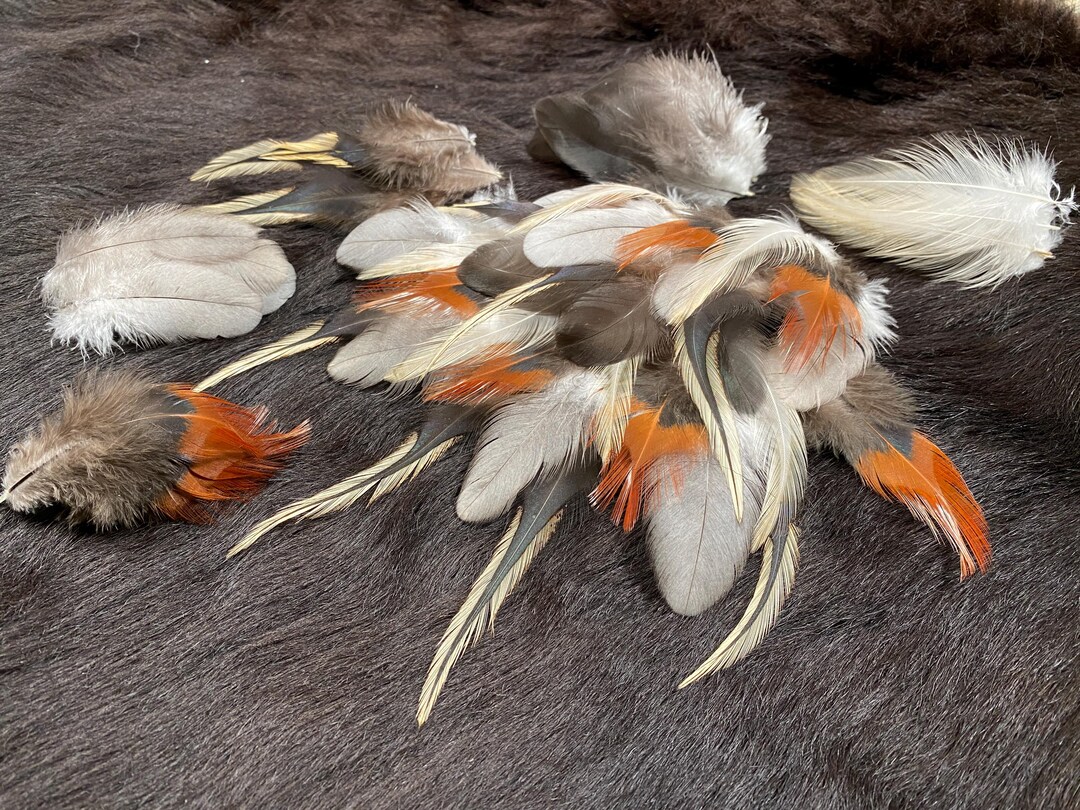 50 Feather Mix, 5-10 Cm, 5 Varieties, Craft Feathers From Good ...