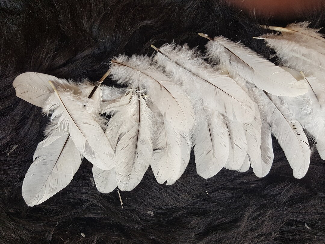 12 Small Flight Feathers 8-10 Cm Grey-mottled From - Etsy