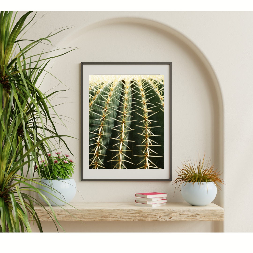 Barrel Cactus - Digital Download - Etsy