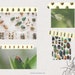 Beetles and Bugs Digital Washi Tape, Clip Art, Dark Academia, Vintage ...