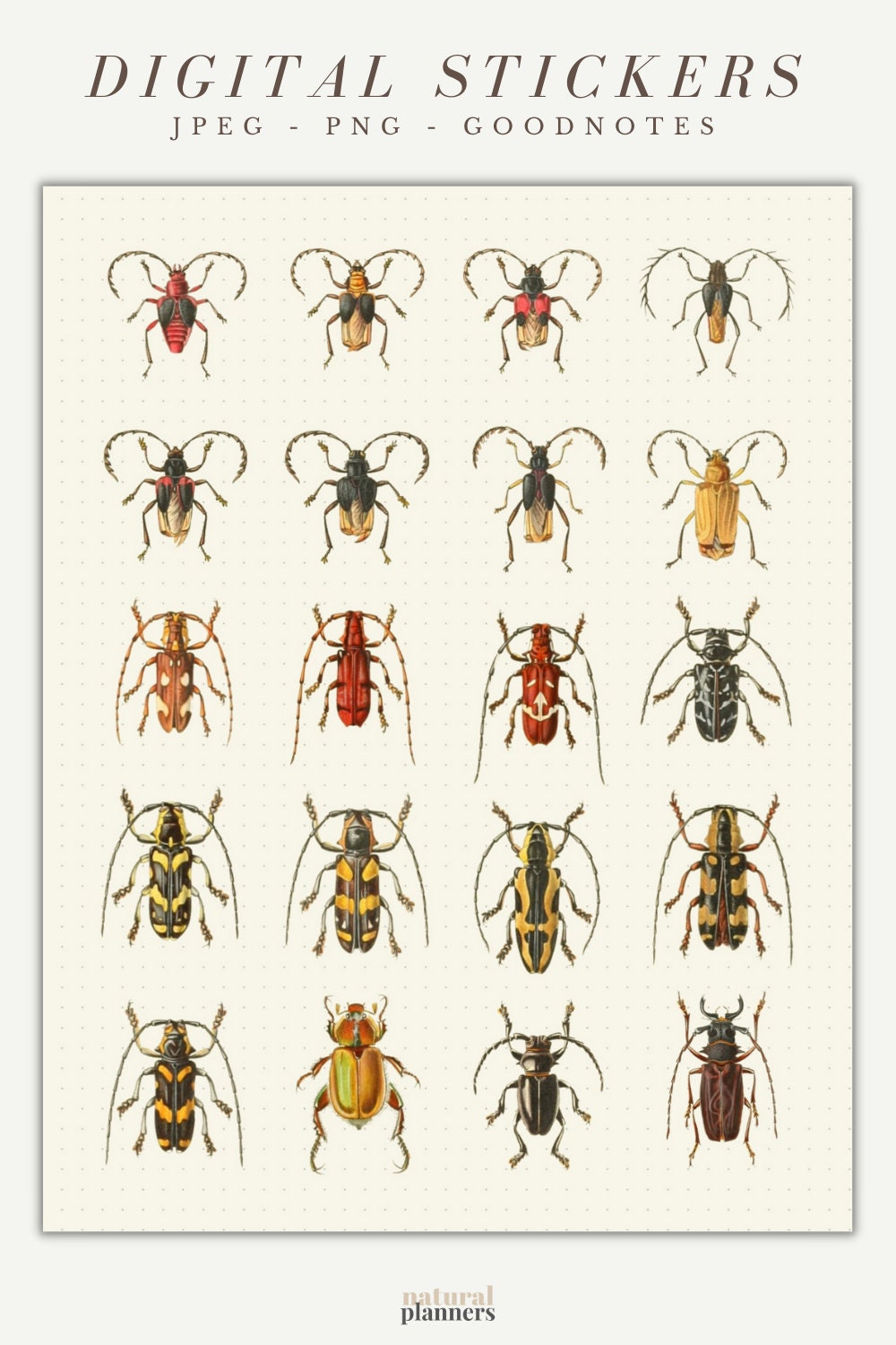 Beetles & Bugs Digital Stickers, Dark Academia Natural History ...