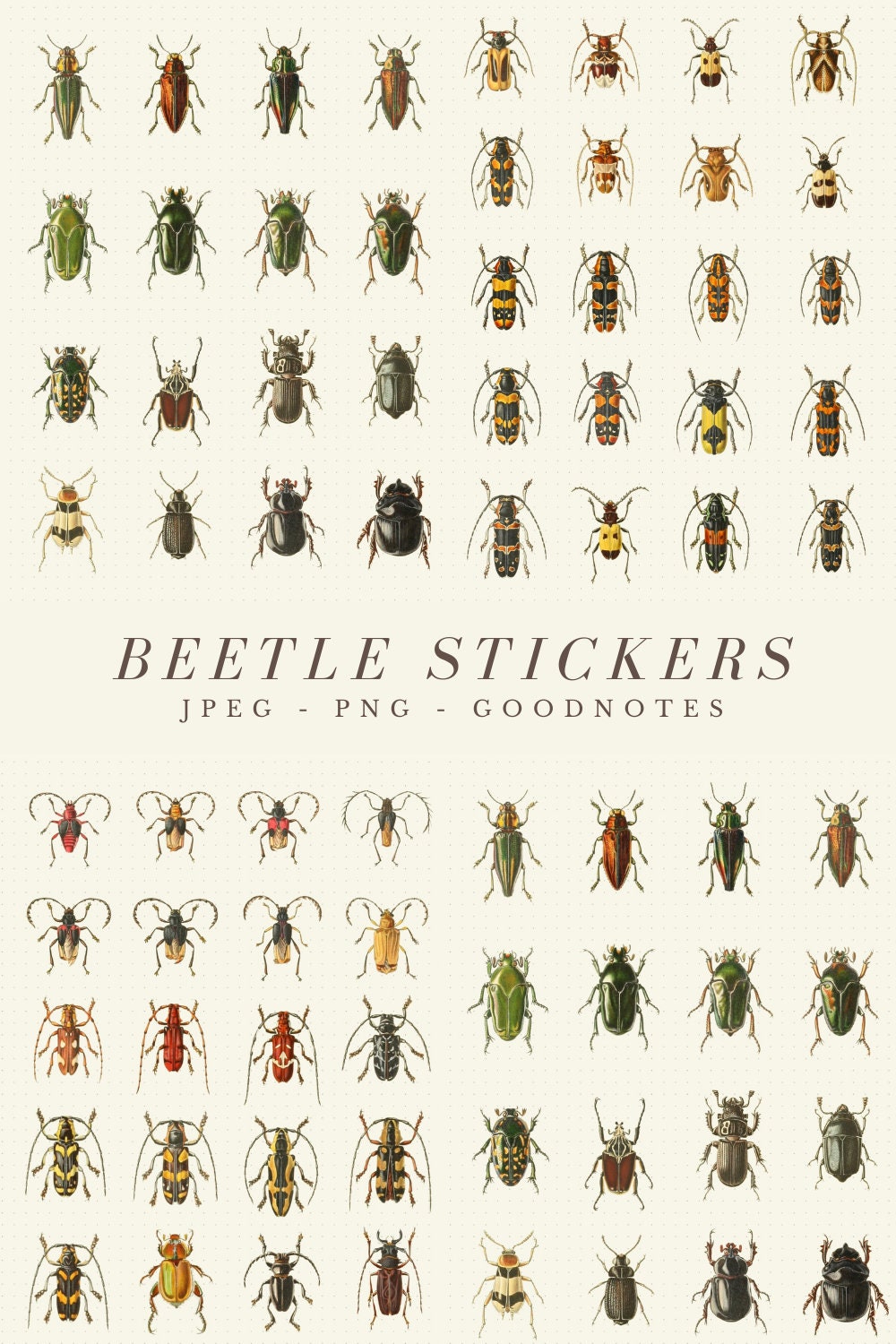 Beetles & Bugs Digital Stickers, Dark Academia Natural History ...