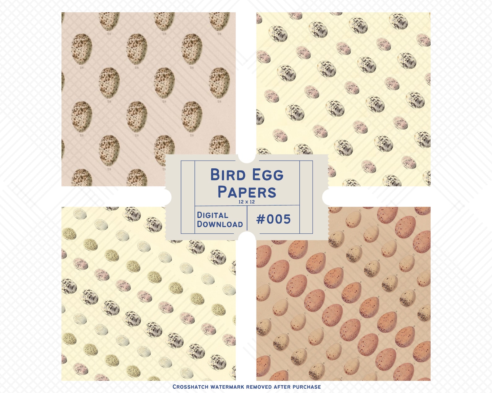 Digital Bird Egg Paper, Vintage Egg Scrapbook Papers Pack, Genuine ...