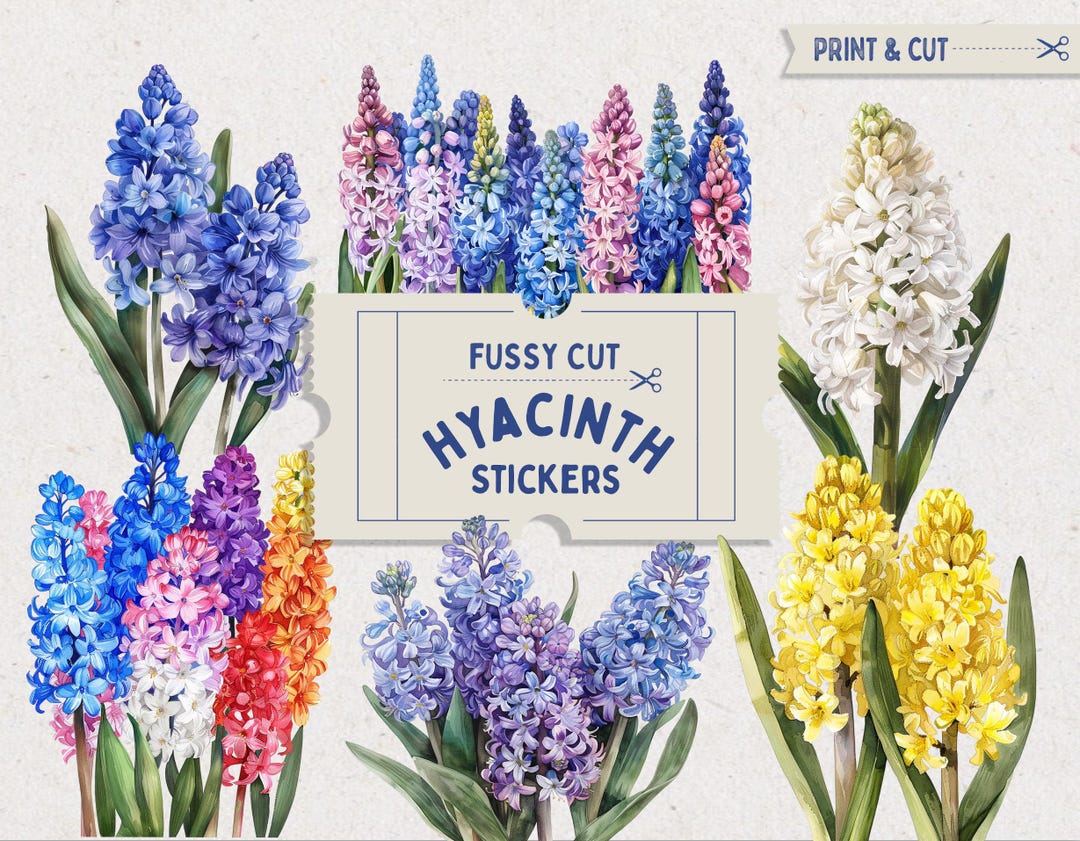 Fussy Cut Hyacinth Stickers Printable Wildflower Floral Stickers for ...
