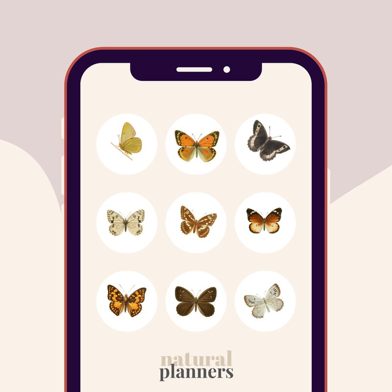 Instagram Logo Butterfly - Etsy