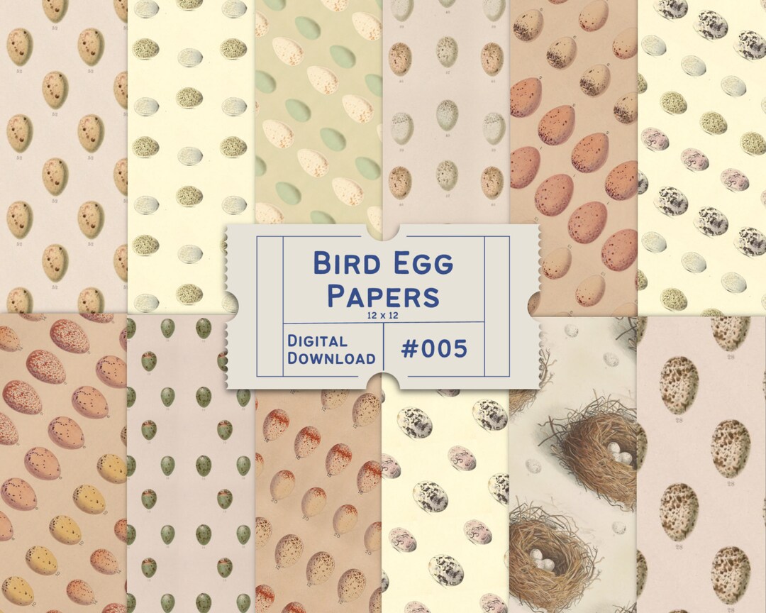 Digital Bird Egg Paper, Vintage Egg Scrapbook Papers Pack, Genuine ...