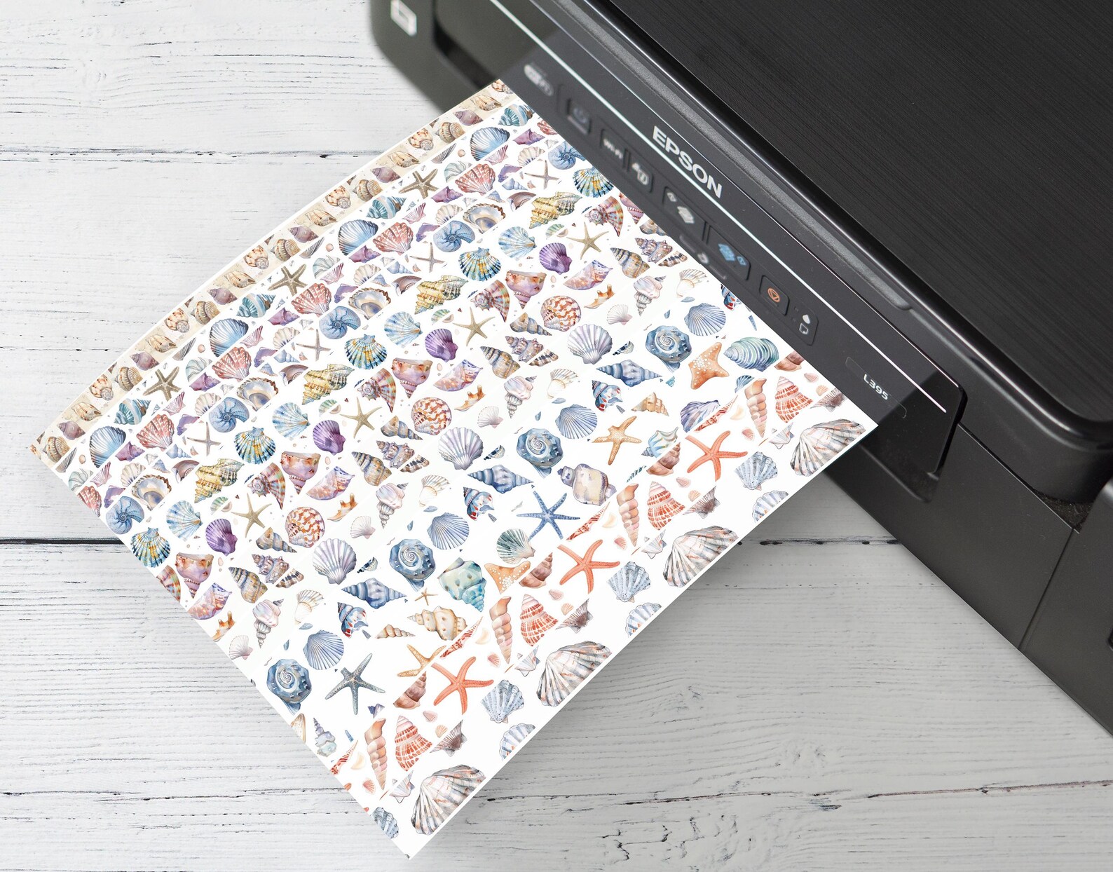 Boho Beach Sea Shell Fussy Cut Washi Tape, Shell Print and Cut Washi ...