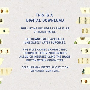 Beetles and Bugs Digital Washi Tape, Clip Art, Dark Academia, Vintage ...