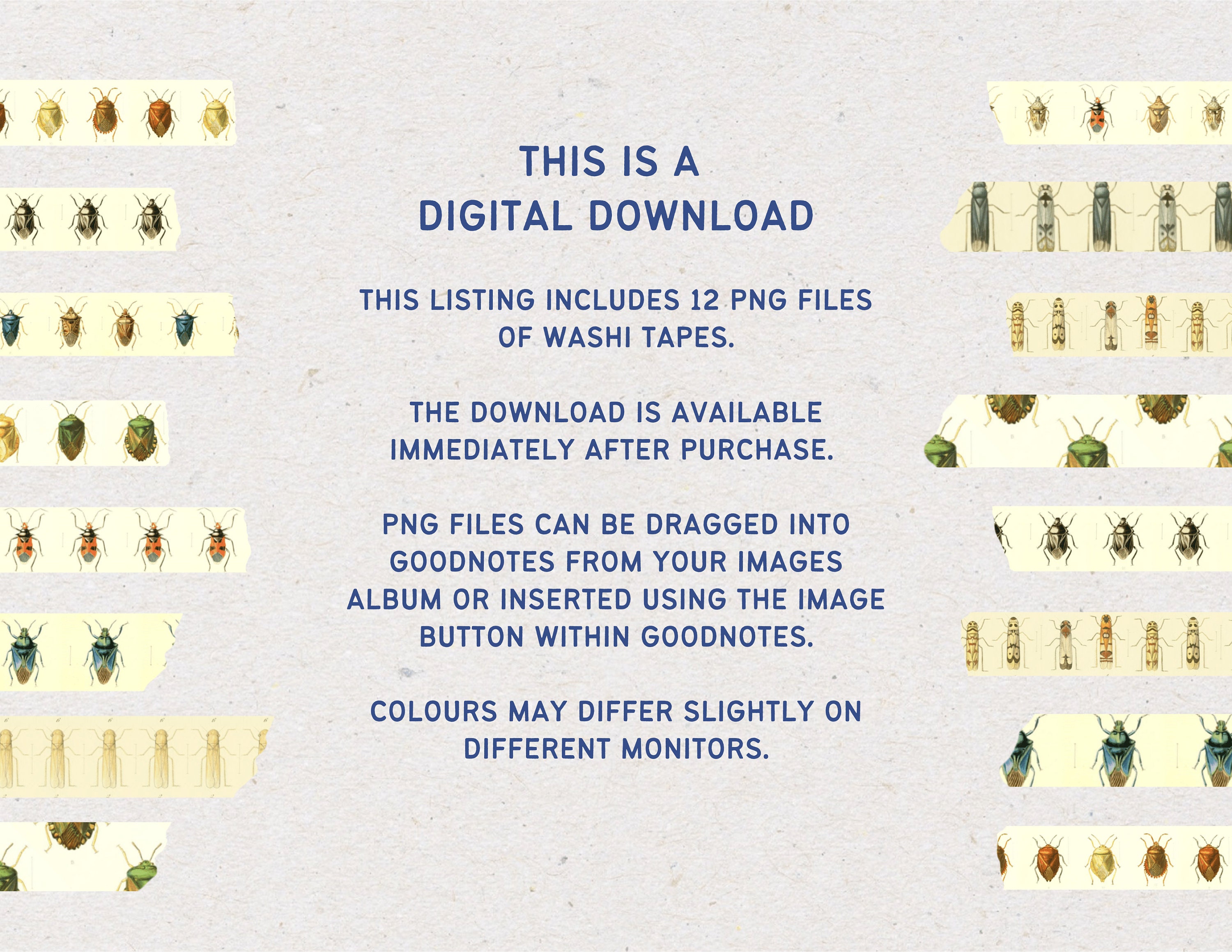 Beetles and Bugs Digital Washi Tape, Clip Art, Dark Academia, Vintage ...