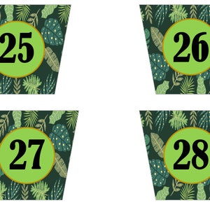 Jungle Theme Book Box Labels 1-28 Green Classroom Organization for ...