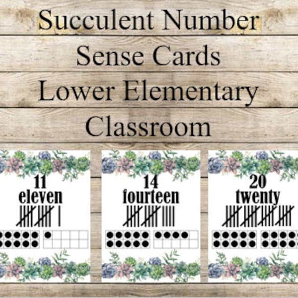 Number Cards Class Display - Etsy