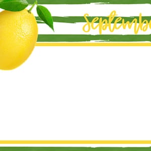 Classroom Decor Lemon Birthday Bulletin Board Display Birthday Sign for ...