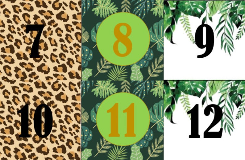 Jungle Classroom Theme Calendar Card Set Cards 1-31 and Months - Etsy