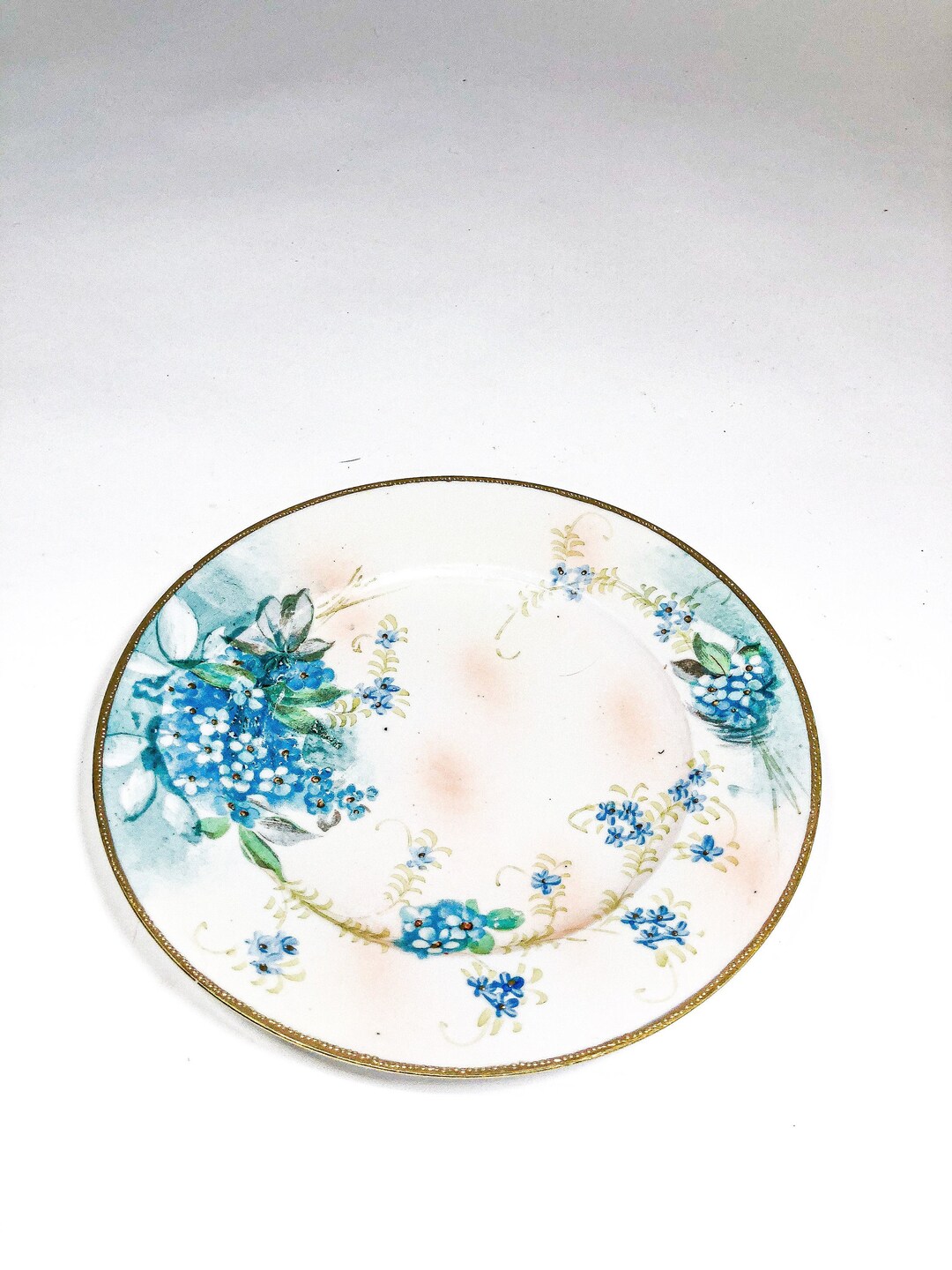 Hand Painted Floral Nippon Porcelain China Plate, Antique Plates - Etsy