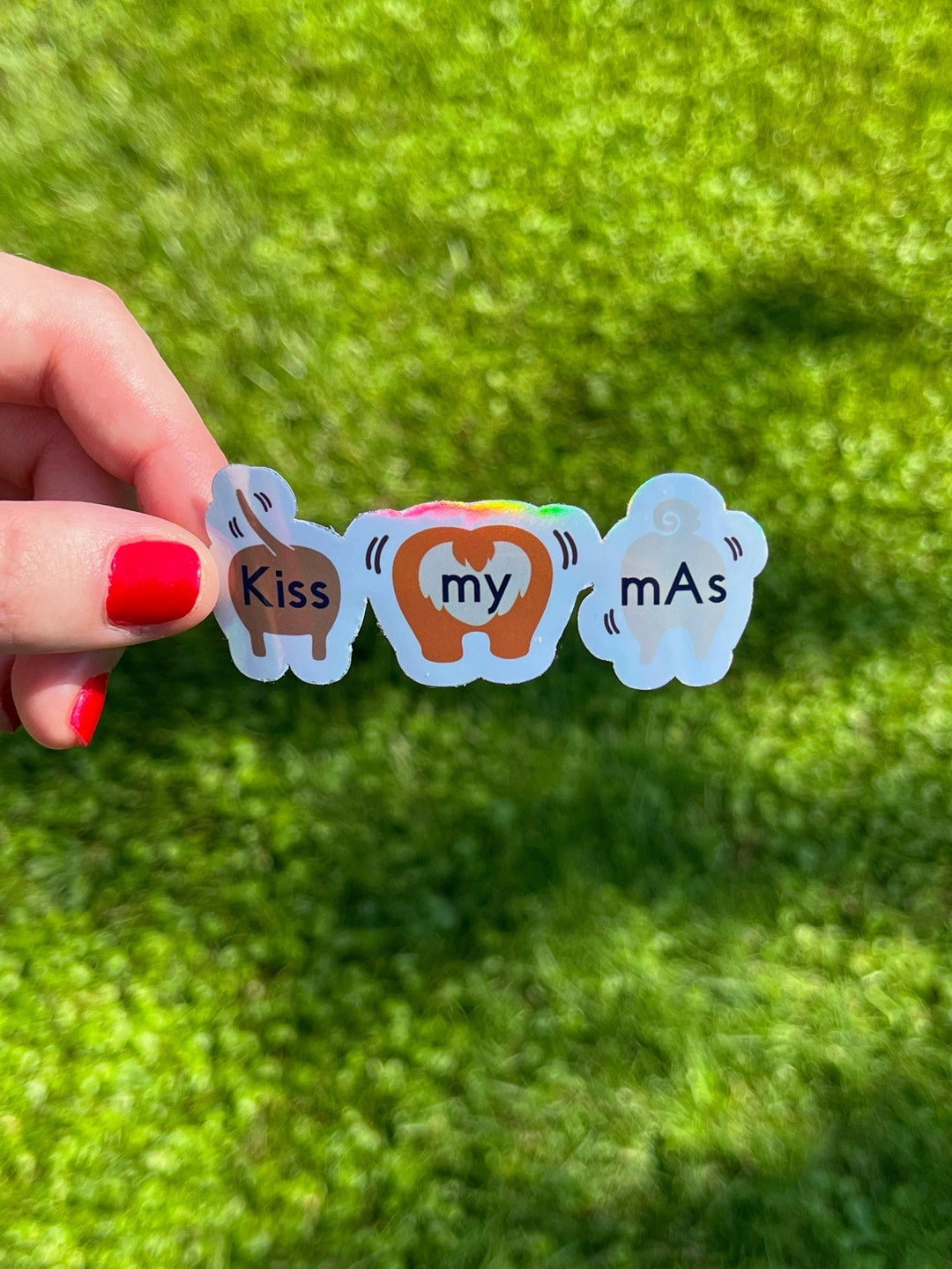 Kiss My Mas Holographic Sticker Radiology Sticker, Xray Tech Gift - Etsy