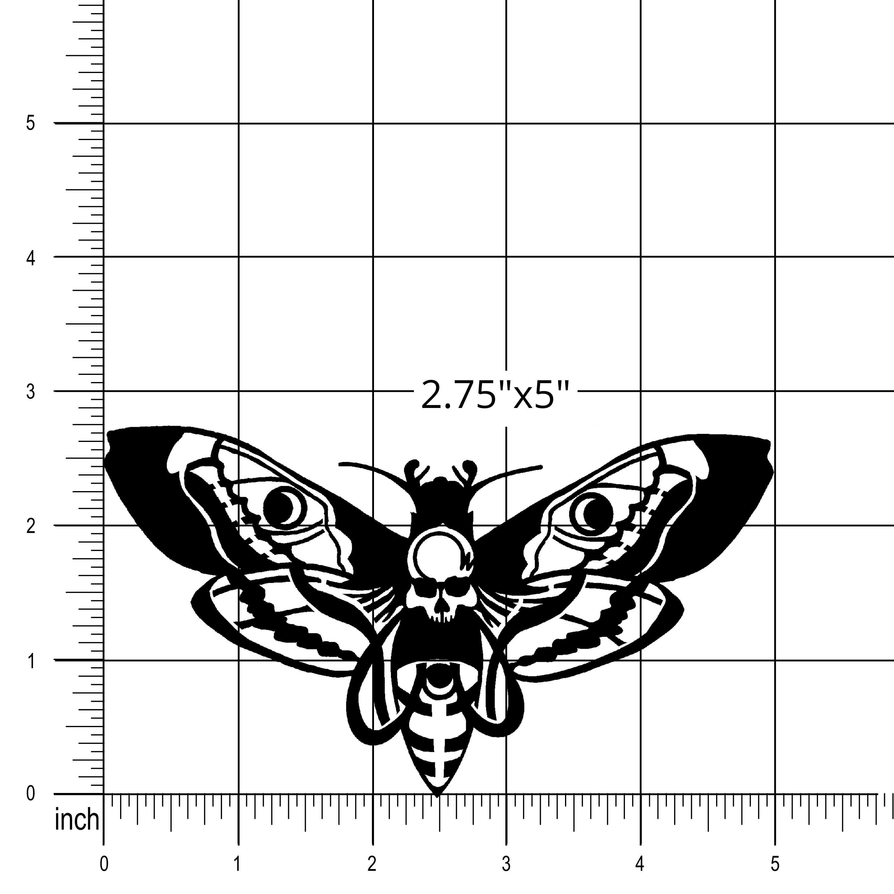 Death Head Moth Decal Car Decal Moth Decal Laptop - Etsy