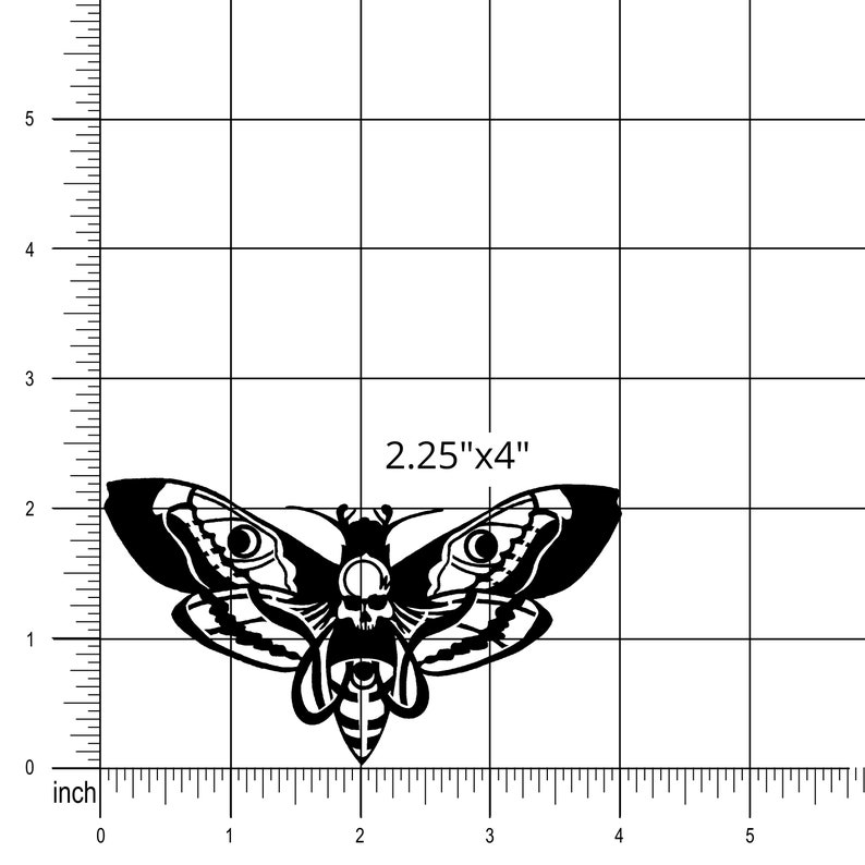 Death Head Moth Decal Car Decal Moth Decal Laptop - Etsy