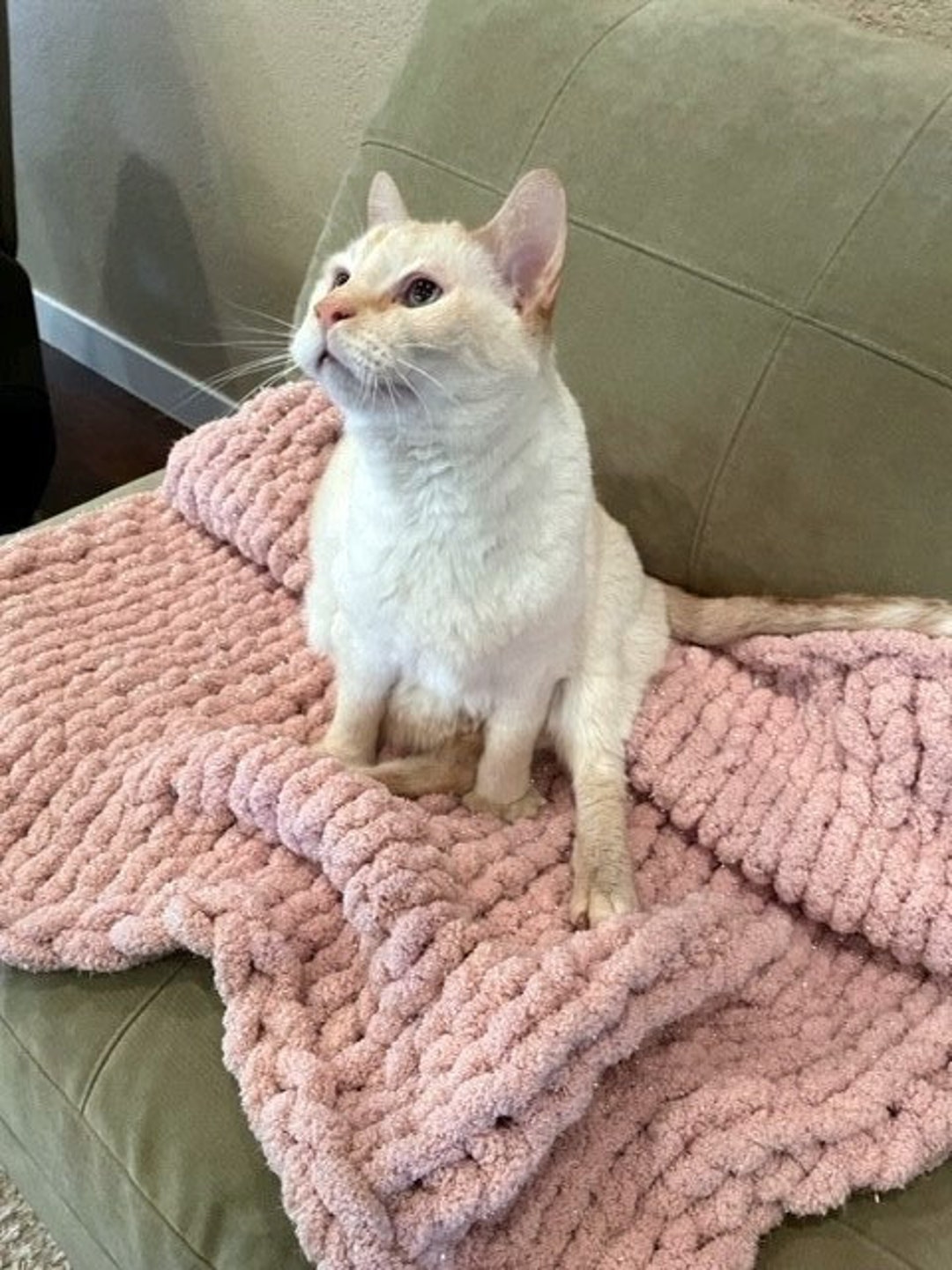 Chunkky Chenille Pet or Baby Blanket 32x32 Hand Knitted - Etsy