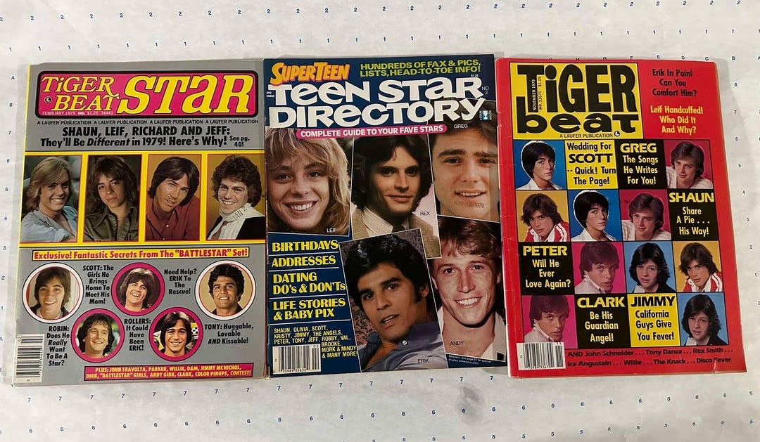 QTY 3 1979 Used Vintage Magazine 2 Tiger Beat and 1 Teen Star Discovery ...