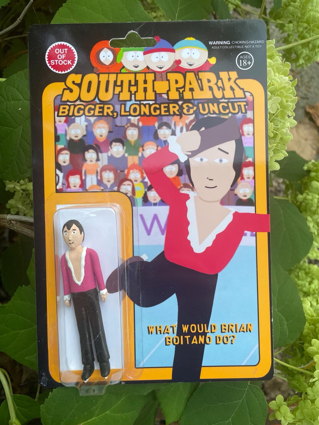 South Park Brian Boitano Display Figure - Etsy