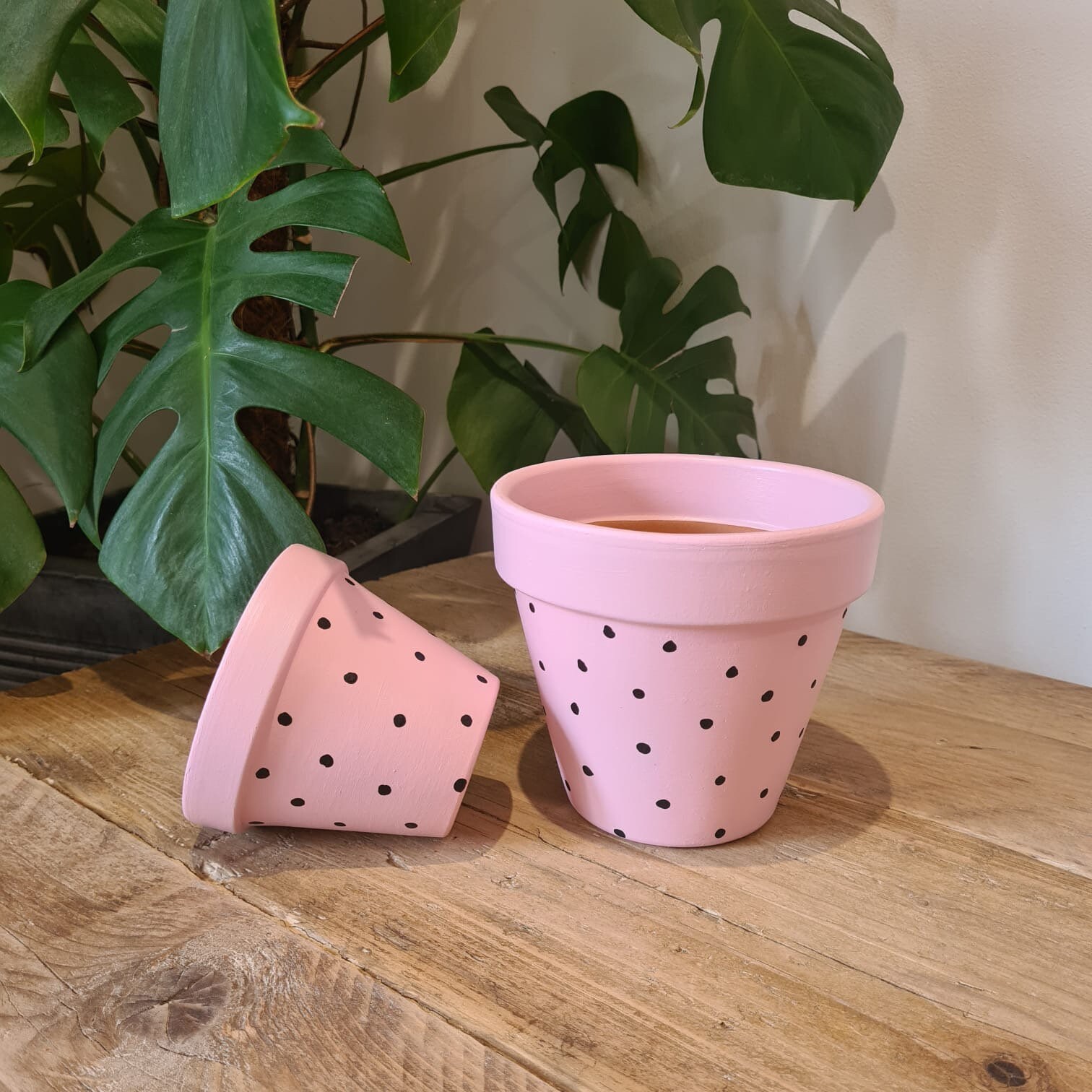 Polka Dot Plant Pot Etsy