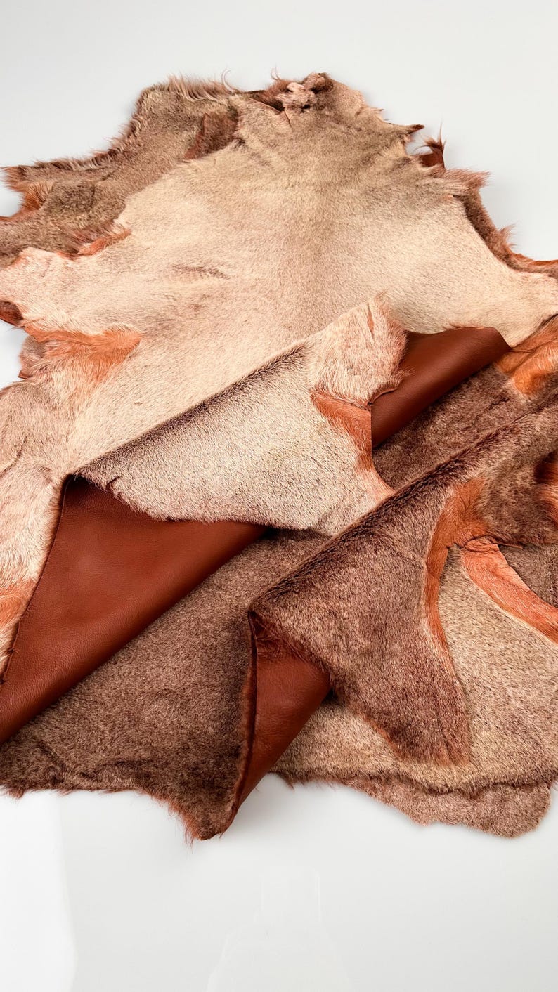 End-of-batch Genuine Sheepskin Hides With Natural Fur Top & Rich Tan ...