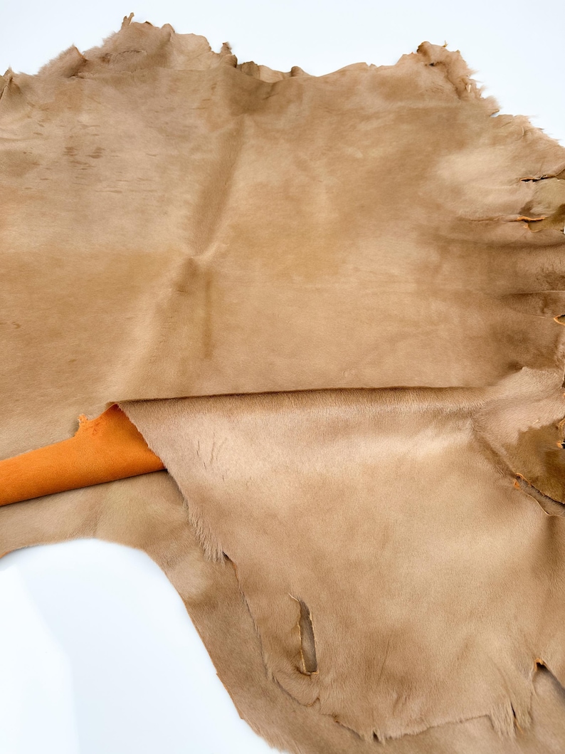Genuine Calfskin Leather Hides – Light Brown & Tan Double-faced Tannery ...