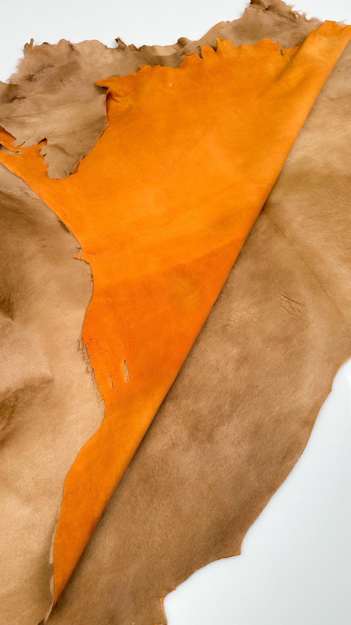 Genuine Calfskin Leather Hides – Light Brown & Tan Double-faced Tannery ...