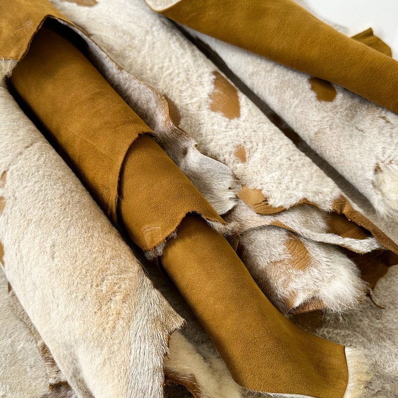 The Cow Pelt - Etsy